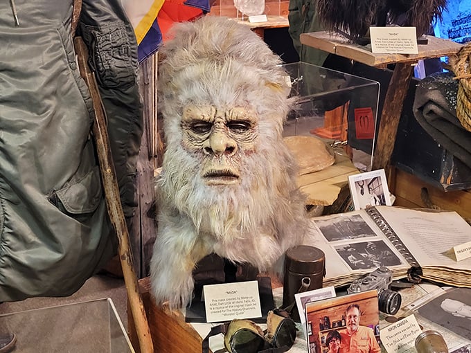 The eerily lifelike Bigfoot head stares with an expression that says, "Yes, I exist, and no, I don't want to be on your podcast."