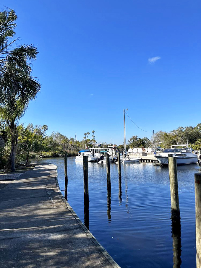 A dock where boats pull up for lunch, proving some of Florida's best restaurants are as accessible by water as by land.