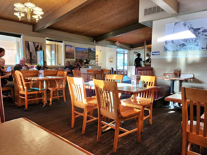 Morning light streams through windows, illuminating wooden tables where countless conversations, celebrations, and everyday moments have unfolded over pancakes and eggs.