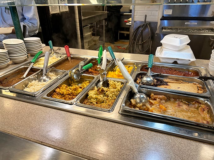 The serving line reveals the day's treasures—each metal pan holding something more tempting than the last. Decision paralysis has never been more delicious.