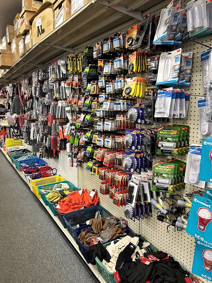 Hardware heaven for the home improver. From light bulbs to tools, this aisle transforms weekend warriors into household heroes without emptying their war chest.