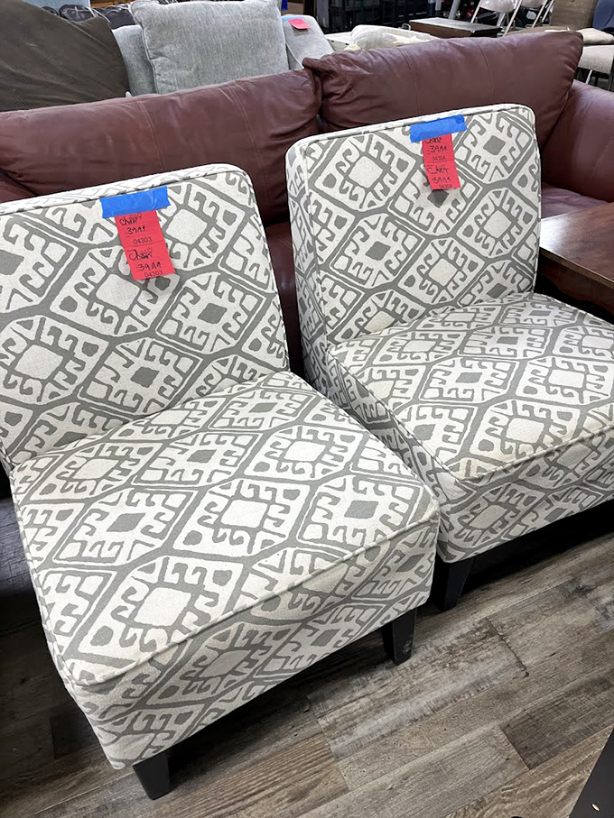 These patterned chairs aren't just seating&mdash;they're personality statements waiting to transform a corner of someone's living room.