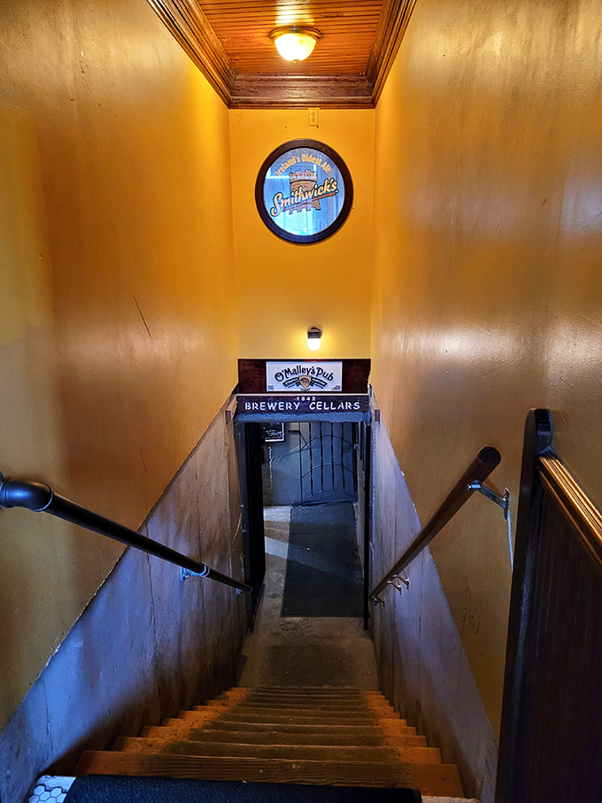 The stairway to heaven? Close enough. Each step down this golden passage brings you closer to underground Irish bliss.