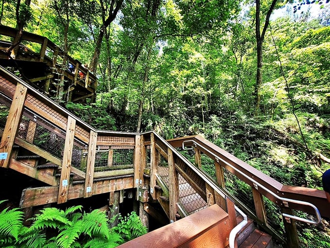 The wooden staircase system offers safe passage into the depths while protecting the fragile ecosystem. Engineering and nature in perfect harmony.