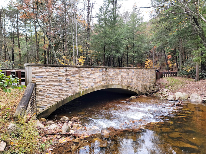 This stone arch bridge looks like something hobbits would cross on their way to second breakfast.