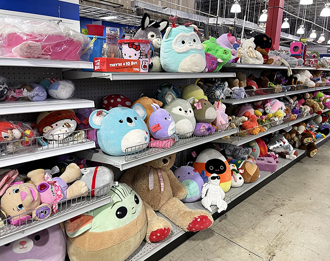 Stuffed animal adoption center where childhood companions await new homes. That blue elephant has hugs to give and secrets to keep.