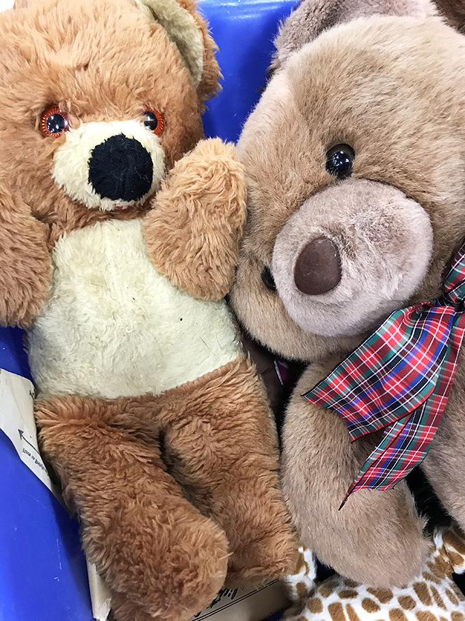 Teddy bear reunion! These plush pals are looking for their forever homes&mdash;and at these prices, you might adopt the whole family.