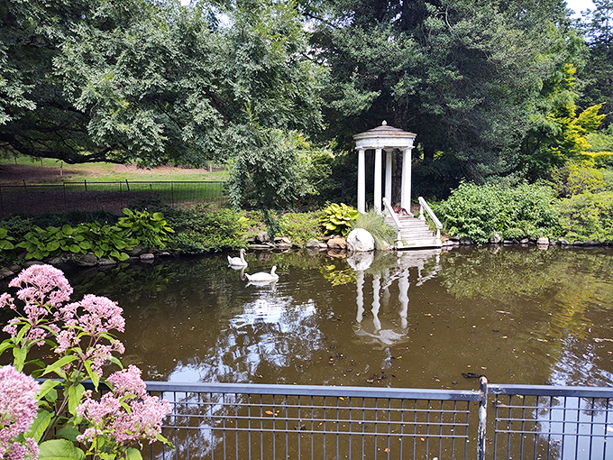Classical columns reflect in still waters while swans glide by, thinking they own the place. And honestly, they might be right.