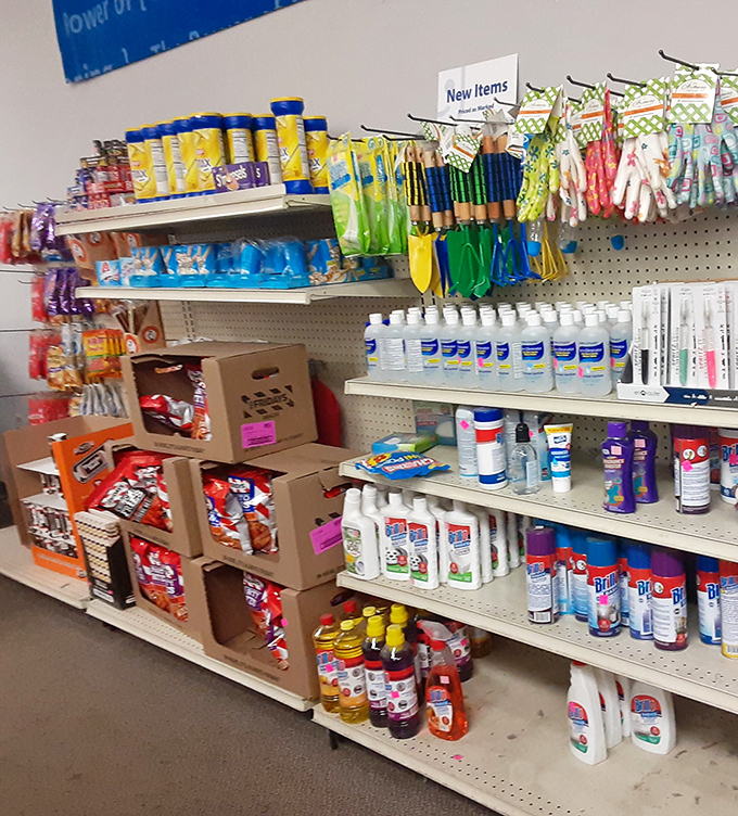 The household essentials aisle &ndash; where practical meets nostalgic in a parade of cleaning products from every era.