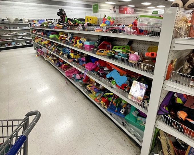The toy section offers budget-friendly options for birthdays and holidays. Many items look barely played with&mdash;perfect for kids who never notice the missing box.