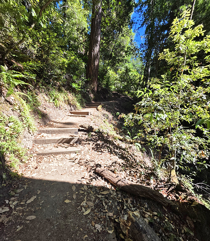 Paths less traveled lead to moments more treasured. Just remember to bring water and resist texting "guess where I am!"