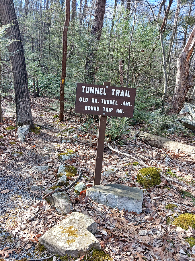 Tunnel Trail sign promises subterranean adventures just one mile away. Some of the best journeys start with a simple wooden marker.