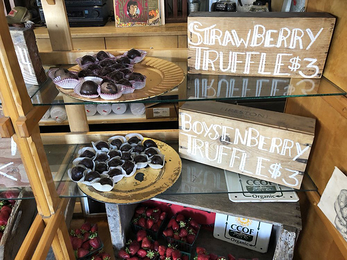 Strawberry truffles that would make a Swiss chocolatier jealous. These little flavor bombs prove that sometimes the best innovations come from small farms.