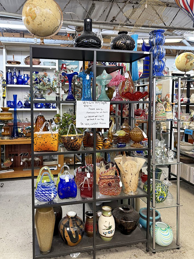 Glass art gallery showcasing delicate craftsmanship in every color of the rainbow. Each piece catches light like Florida sunshine through stained glass.