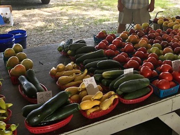 Garden-fresh zucchini, tomatoes, and squash that look like they jumped straight from the soil to your shopping basket. Farm-to-table starts here!