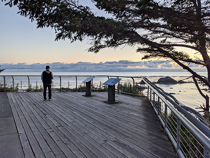 The observation deck where time stands still, offering front-row seats to nature's greatest show: the eternal dance of sea and shore.