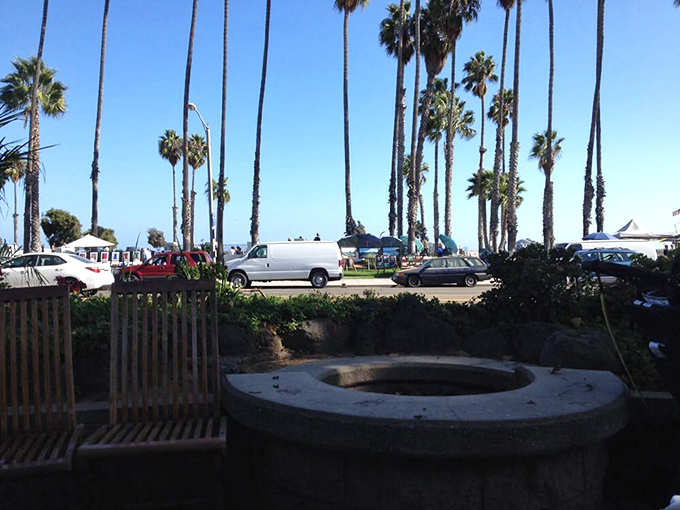 Palm trees frame the patio view &ndash; nature's exclamation points emphasizing that you've found one of Santa Barbara's true coastal treasures.