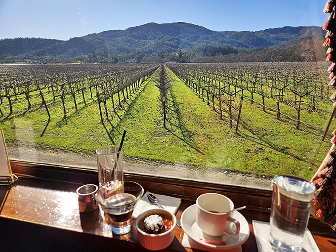 The view from your seat: vineyards, mountains, and wine&mdash;proving that sometimes the journey really is as good as the destination.