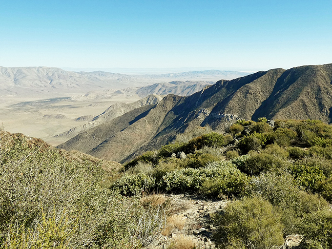 The desert floor unfolds like a rumpled blanket from Kwaaymii Point. On clear days, you can almost see tomorrow from here.
