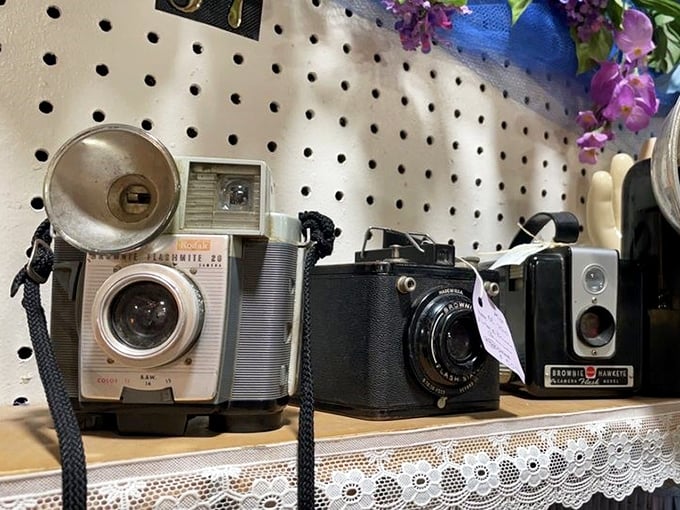 Vintage cameras that captured someone's wedding day or baby's first steps now wait to become conversation pieces in a modern home office.