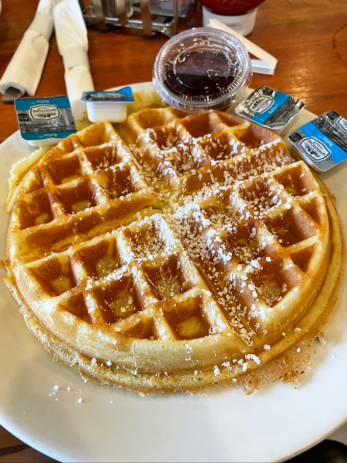 This waffle doesn't need a runway&mdash;it's already a supermodel. Golden, crisp exterior with a fluffy interior that's ready for its powdered sugar snowfall.