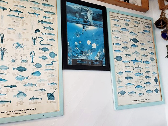 These fish identification charts might be the only formal education you'll get during lunch, but they're certainly more interesting than most college lectures.