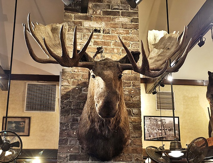 That impressive moose mount isn't just d&eacute;cor&mdash;it's a silent guardian watching over countless celebrations and first dates.
