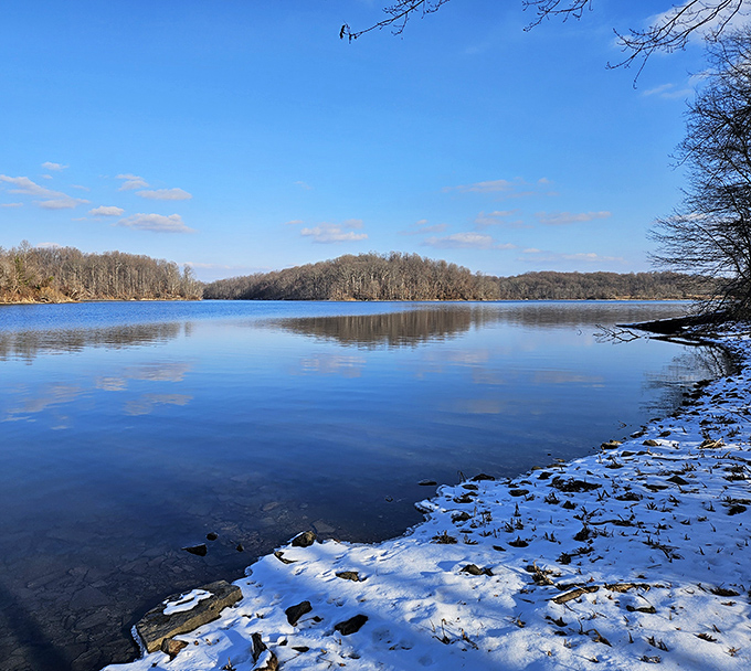 Winter's gentle touch transforms Marsh Creek into a contemplative landscape where silence speaks volumes and footprints tell stories.