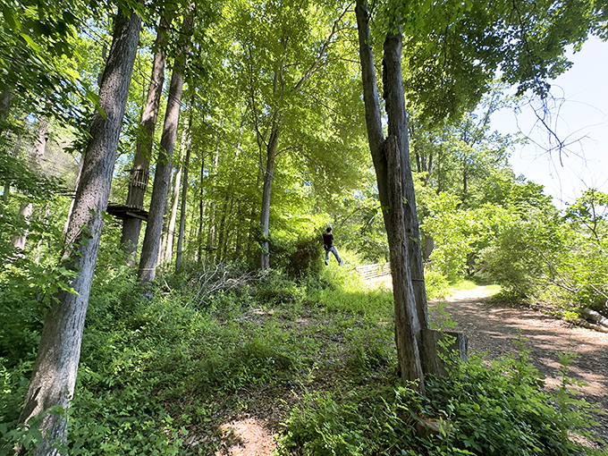 Soaring between trees on a zipline&mdash;the closest you'll get to feeling like a superhero without wearing spandex.