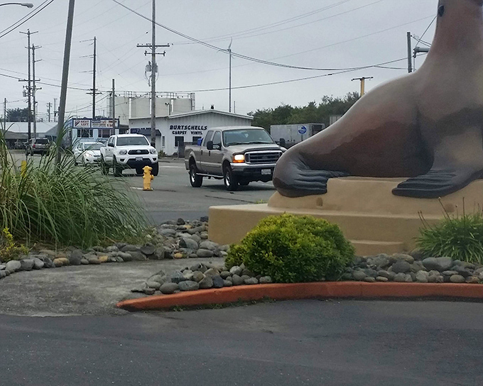 Crescent City's rugged coastline delivers million-dollar views at prices that won't cost you your life savings.