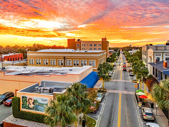 Leesburg's lakefront gardens offer million-dollar views accessible to anyone with walking shoes and curiosity.