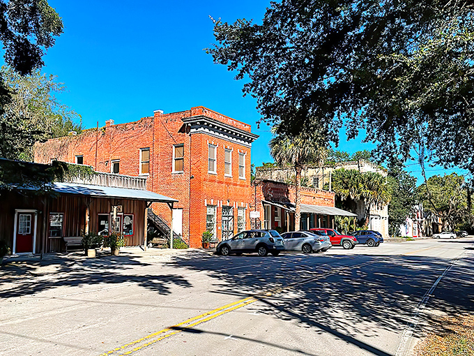Micanopy's ancient oaks create cathedral ceilings over streets where time moves like sweet molasses.