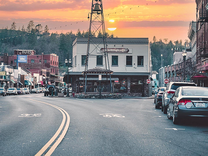 Golden hour magic transforms ordinary streets into extraordinary scenes where every shadow tells a story worth remembering forever.