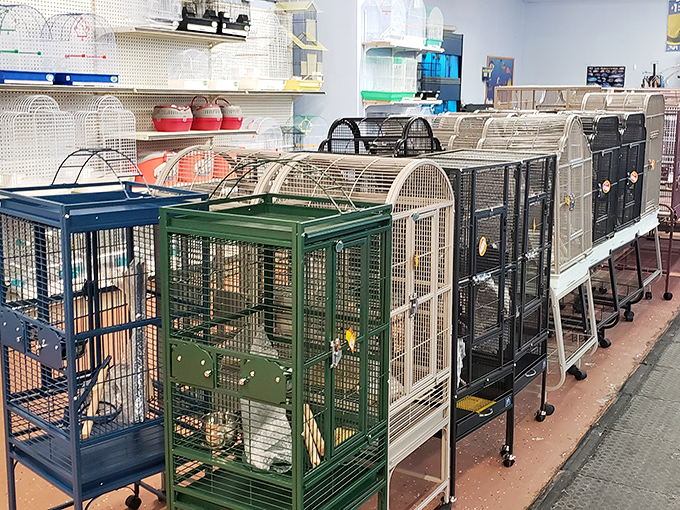 Pet cages waiting for feathered or furry friends who deserve quality housing at reasonable prices.