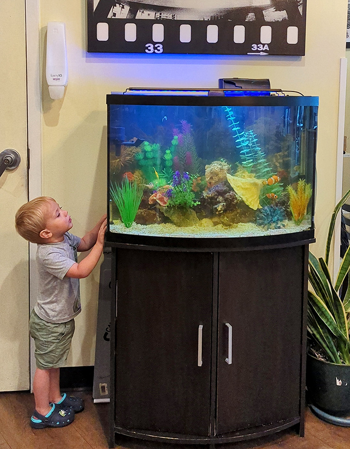 Even the youngest food critics are entertained here. That aquarium provides the perfect distraction while parents enjoy those last precious sips of hot coffee.