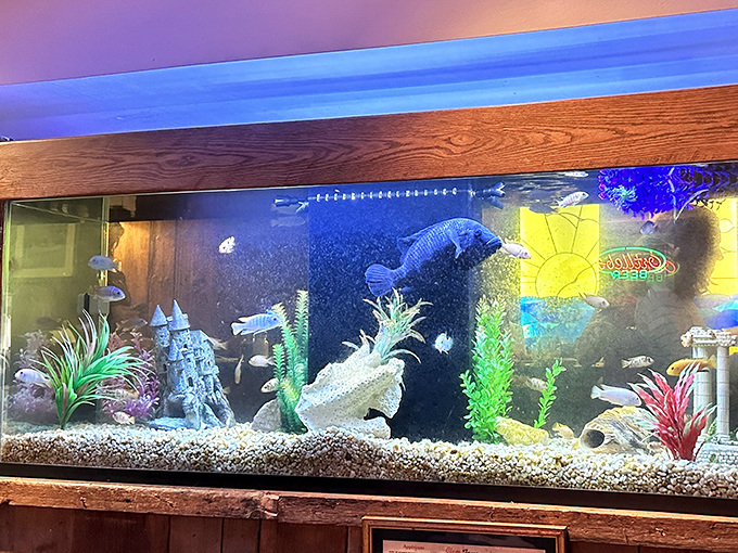 Even the fish in the aquarium seem to be enjoying themselves, swimming blissfully unaware of their relatives' starring roles on the menu.