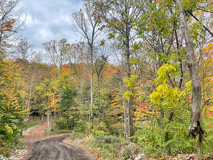 Fall foliage creates nature's most spectacular light show along Waynesville's country roads&mdash;no ticket or special glasses required.