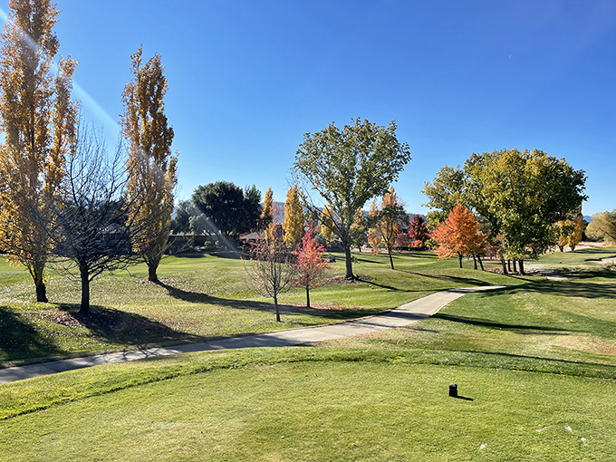 Fall transforms the local landscape into a painter's palette of autumn colors, proving gold country still delivers treasure in every season.