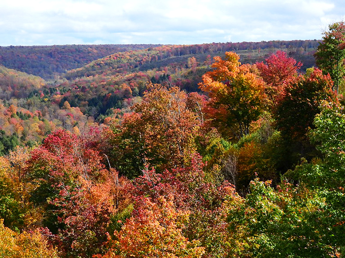 Autumn transforms the Kinzua Gorge into a painter's palette of crimson, gold and russet&mdash;Mother Nature showing off her most spectacular seasonal wardrobe.