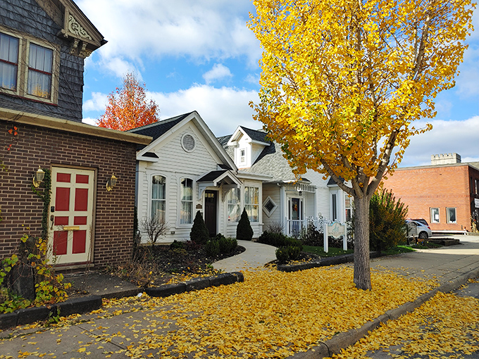 Fall paints East Liverpool's streets with golden hues, creating postcard-perfect scenes that remind us why autumn in Ohio is magical.