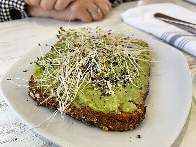 Avocado toast that's been elevated beyond basic status with microgreens and seeds &ndash; proof that healthy choices don't have to be punishment. This is virtue you can taste.
