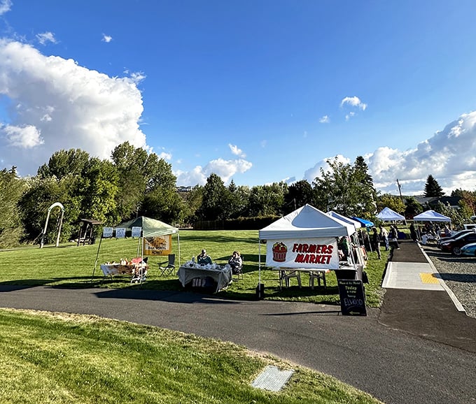 The local farmers market: where Social Security dollars stretch further than those fancy elastic workout pants.