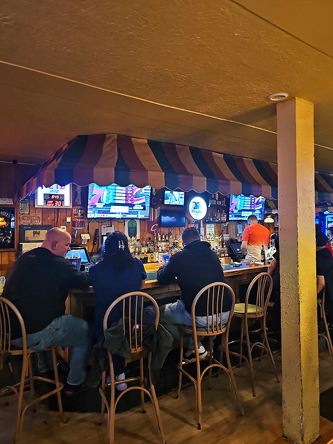 The bar area, where regulars have claimed their territory with the confidence of homesteaders, and newcomers are welcomed with curious nods.
