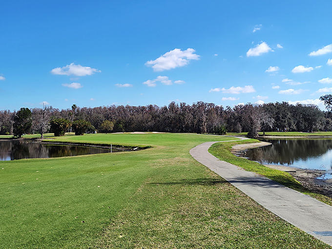 Golf as nature intended&mdash;water hazards that actually look natural and greens that don't require a second mortgage to play.