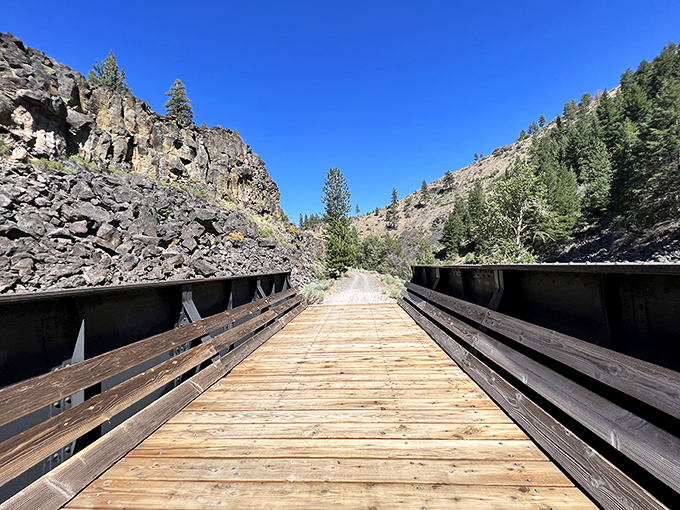 Another stunning bridge on the Bizz Johnson Trail, where century-old railroad engineering creates pathways through rugged canyon landscapes.