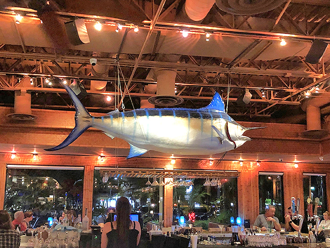 That blue marlin watches over diners like a guardian of good taste, silently approving your excellent restaurant choice.