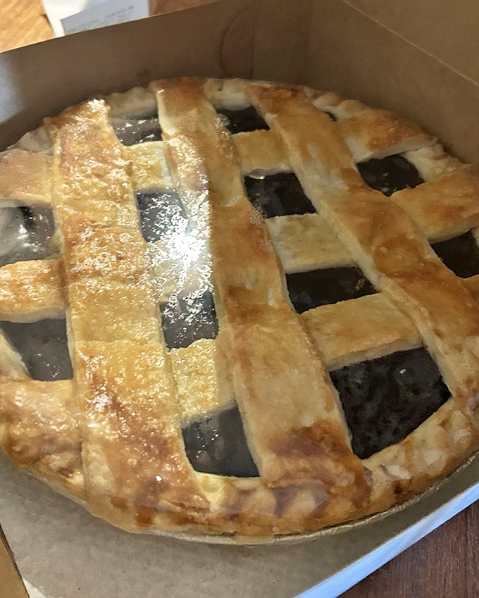 Lattice-topped blueberry pie that looks like it jumped straight from a Norman Rockwell painting into delicious reality.
