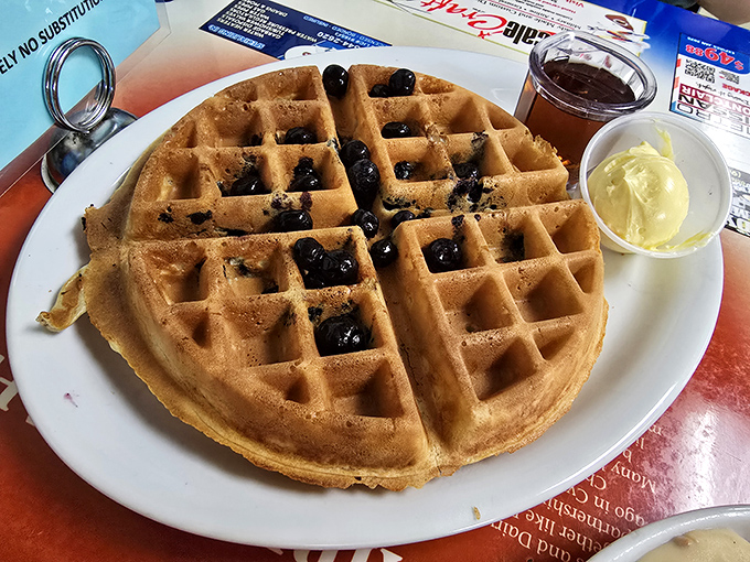 A waffle landscape dotted with blueberry inhabitants, waiting patiently for the sweet maple syrup rainfall that will complete its destiny.
