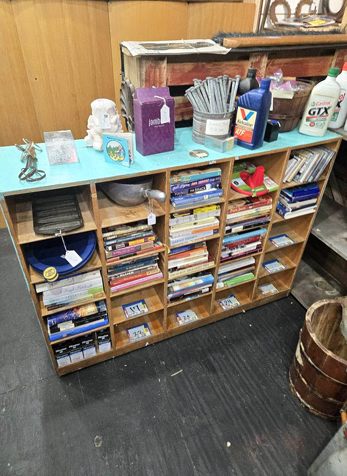 Books stacked with military precision, each spine promising adventures, knowledge, or recipes your grandmother might have used.