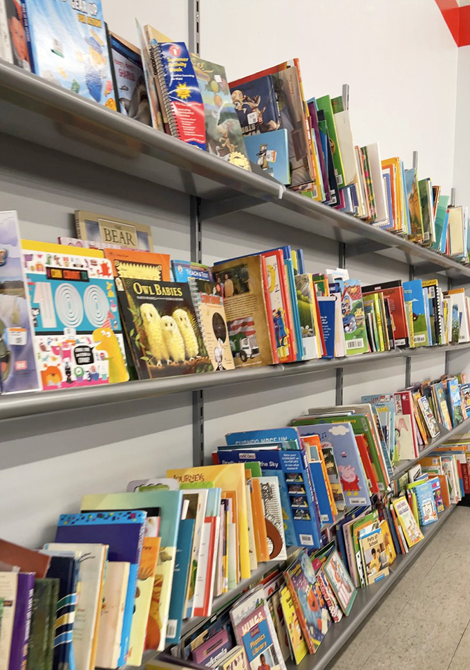 The book section: where literary treasures and forgotten beach reads find new life. Owl Babies looks particularly charming!